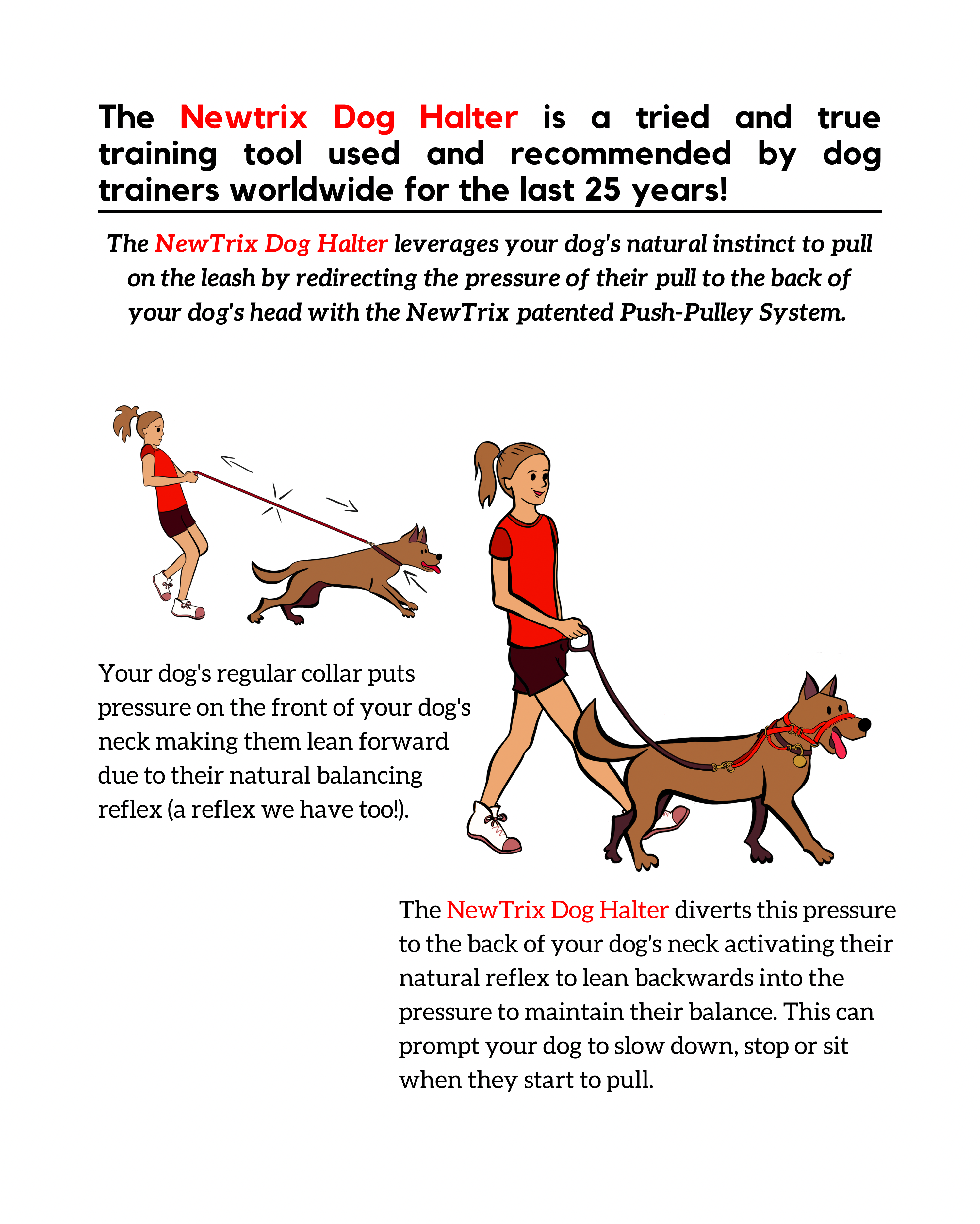 NewTrix Dog Halter – NewTrix dog halters